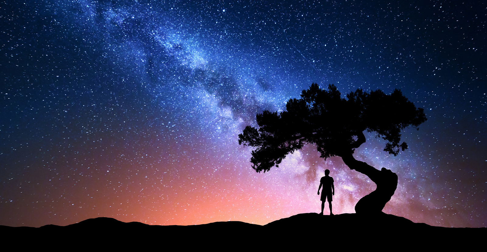 We Are Made of Star Stuff - The Daily Grail