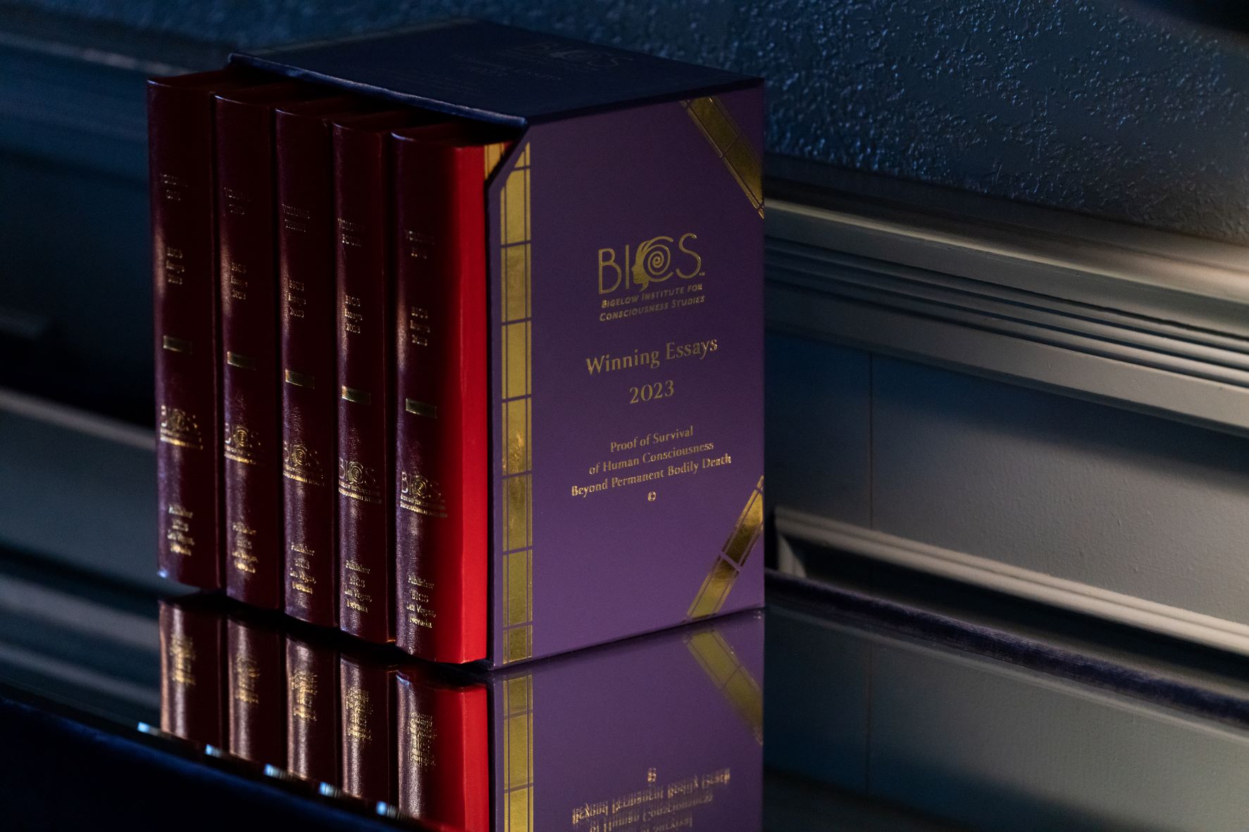 Bigelow Afterlife Essays Book Set Offered for Free - The Daily Grail