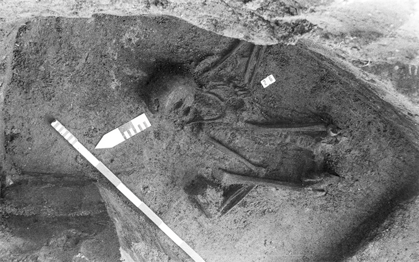 Ancient 'Frankenstein' skeleton is made up of bones from many people ...